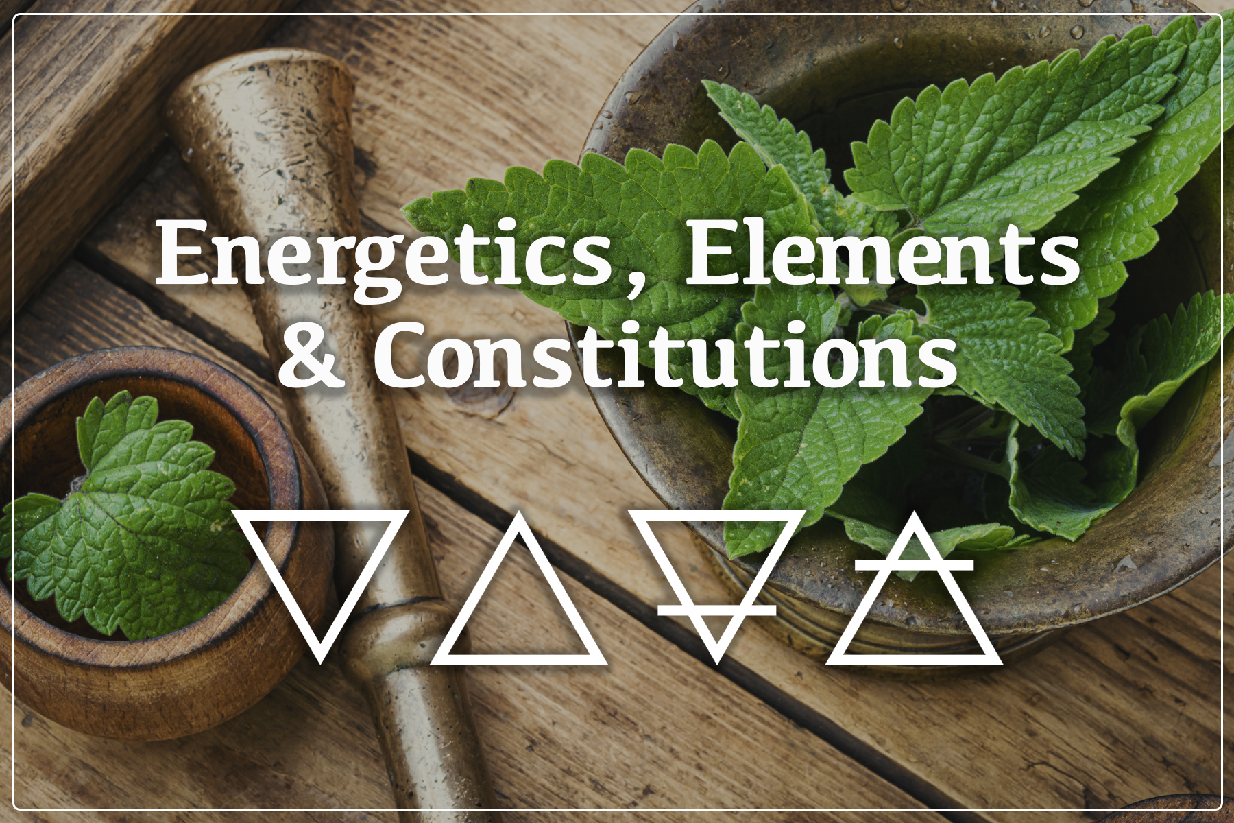Energetics, Elements & Constitutions – The Northwest School of Aromatic ...