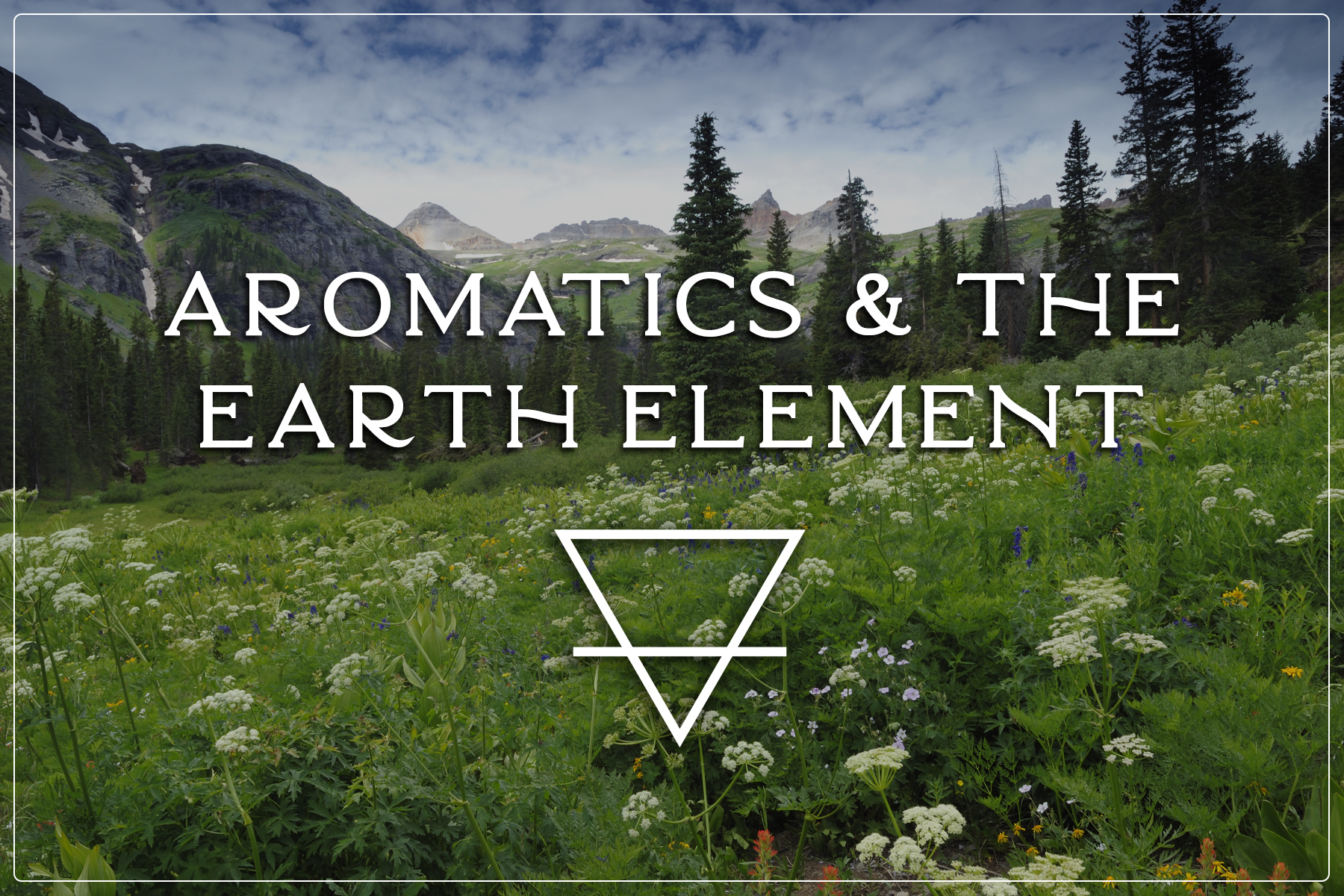 AMG: Lesson Page – The Northwest School of Aromatic Medicine